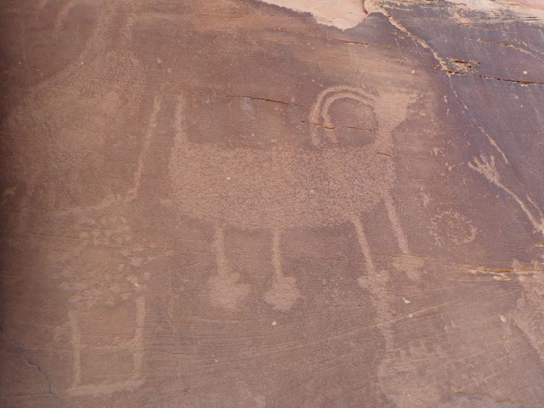 Dinosaurs grave. – The Road In Between