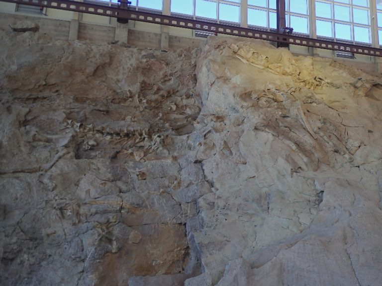 Dinosaurs grave. – The Road In Between